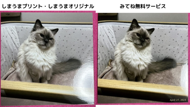 しまうまプリントの口コミは本当？3年使ってみて分かった失敗例と注意点 | ぴいのメモひろば